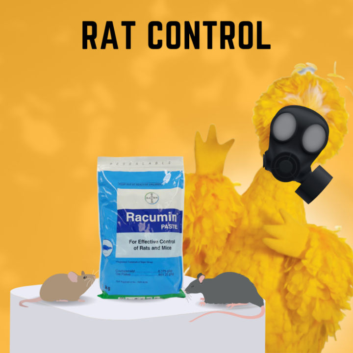 RACUMIN PASTE RODENTICIDE | COUMATETRALYL | RAT CONTROL - 1 KILO ...
