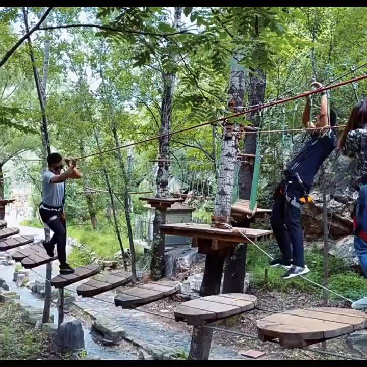 Jungle Crossing Expansion Equipment Outdoor Large Scenic Spot Jungle ...