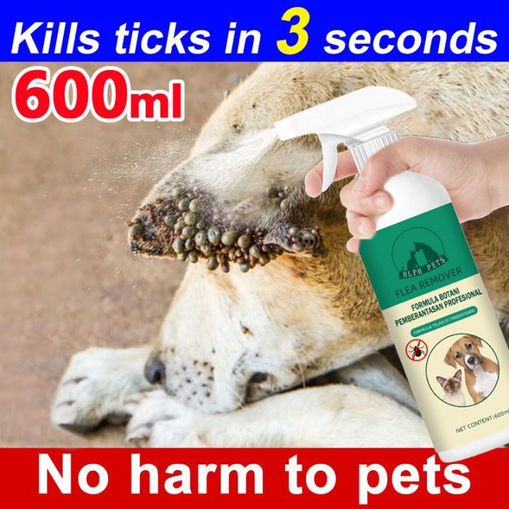 🐶Kills ticks in 3 seconds🐱 600ml Tick and Flea Killer Spary for ticks ...