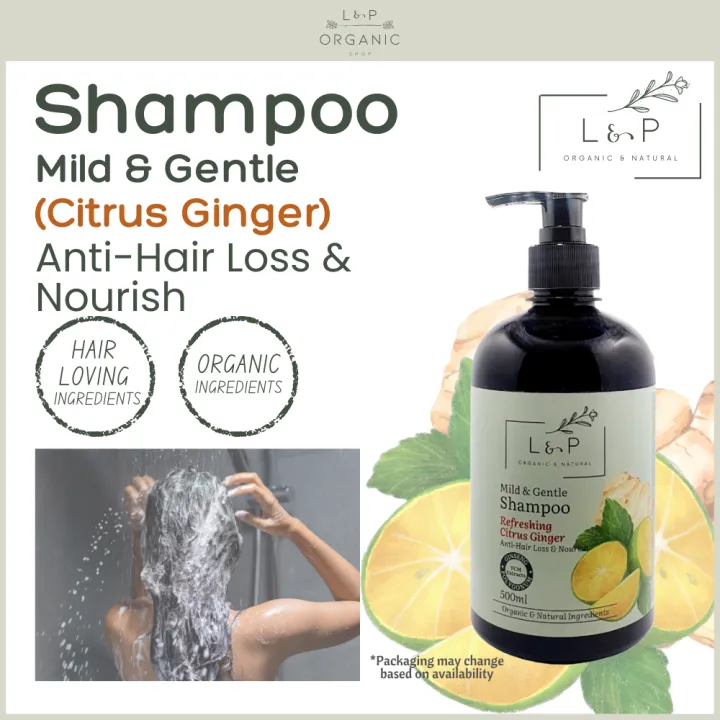 Mild & Gentle Shampoo/Citrus Ginger/Anti-Hair Loss/Nourishing ...