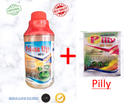 PRIMA UP 480 SL HERBISIDA SISTEMIK PURNA TUMBUH Kemasan 1 liter + Bonus ...