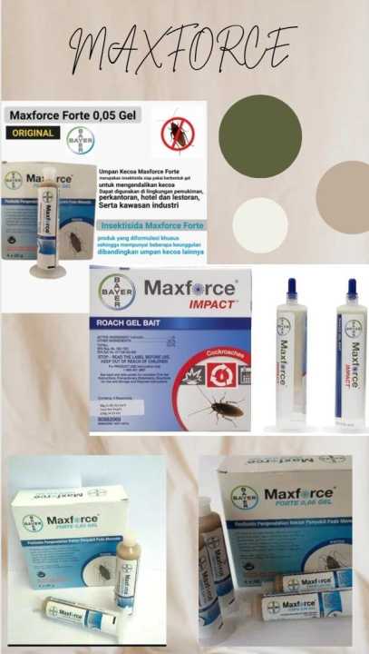 MAXFORCE FORTE 0,05 GEL Umpan Kecea Original | Lazada Indonesia