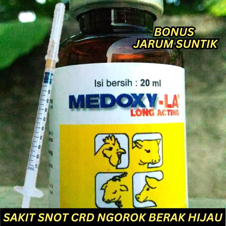 Medoxy LA 10ML / 5ML Obat Ngorok Ayam Obat Pilek Ayam Obat Snot Ayam ...