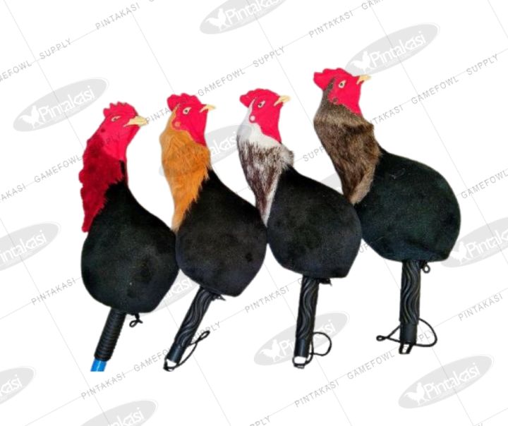 PINTAKASI BRAND Heavy duty Rubber Dummy Mexican Gamefowl Training Dummy ... PINTAKASI BRAND Heavy duty Rubber Dummy Mexican Gamefowl Training Dummy ...