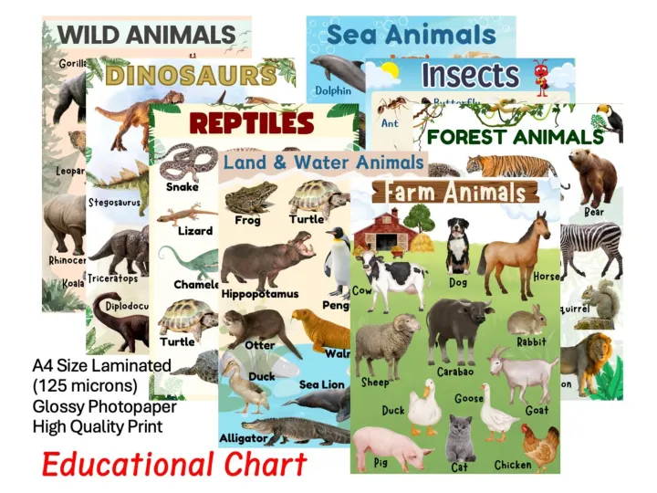 8pcs Animal Educational Chart - A4 Size - Laminated Wall Chart for Kids ...