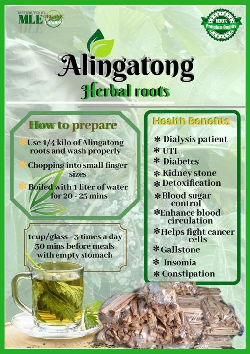 RED ALINGATONG HERBAL ROOTS - Best for any Kidney Problem 1Kg | Lazada PH