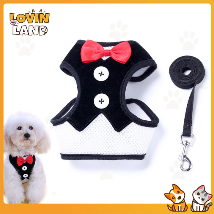 Kucing Elegan Anjing Abah-Abah Jaket dengan Leash Bowtie Laras Suit ...