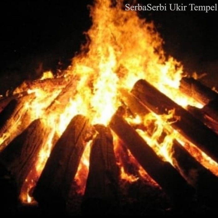 kayu bakar siap pakai praktis kayu api unggun Termurah | Lazada Indonesia