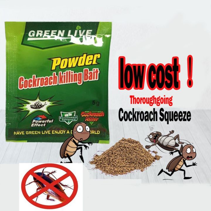 [Fast Germination] 50 seeds BUY 1 GET 1 FREE（Not a plant) 20 pcs ...