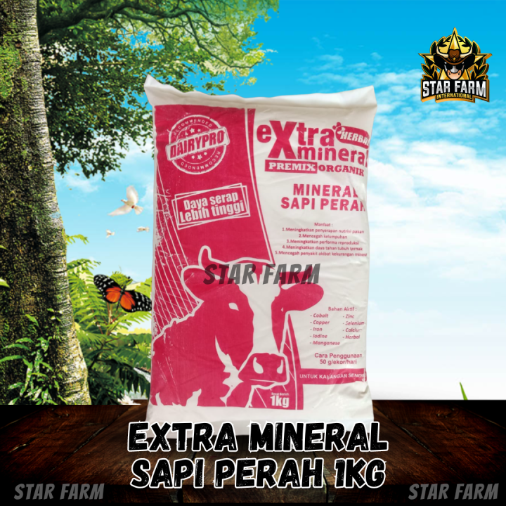 Extra Mineral Premix Sapi Perah - Star Farm | Lazada Indonesia