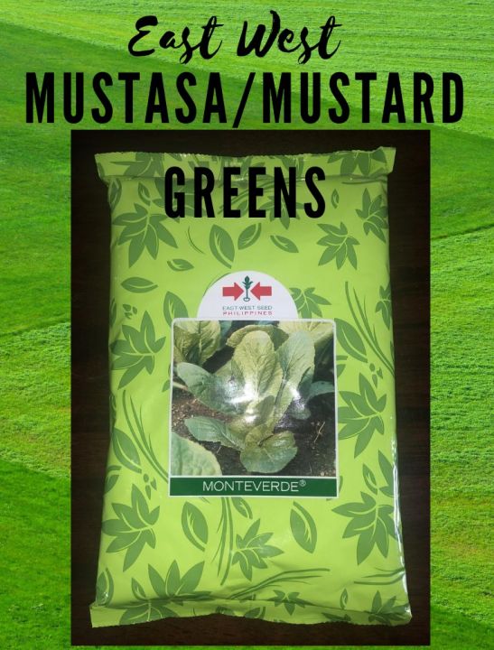 East West EASTWEST 1Kilo MUSTASA Seeds Monteverde 1kg | Lazada PH