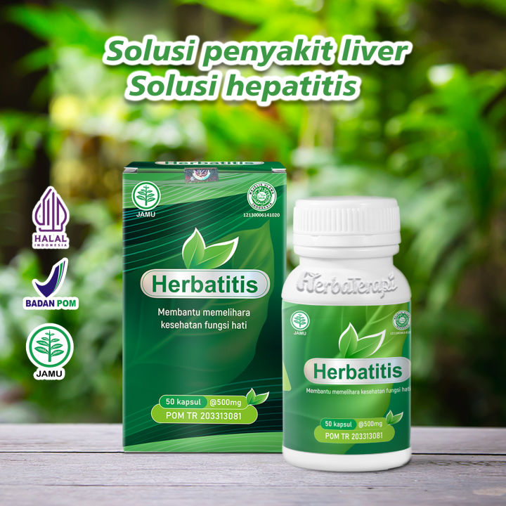 herbatitis obat herbal hepatitis sirosis lemak hati fatty liver ...