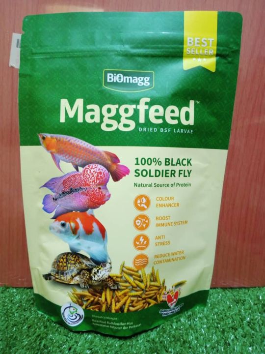 Trial Pack Maggot Maggfeed by Biomagg [Maggot for channa, Arowana ...