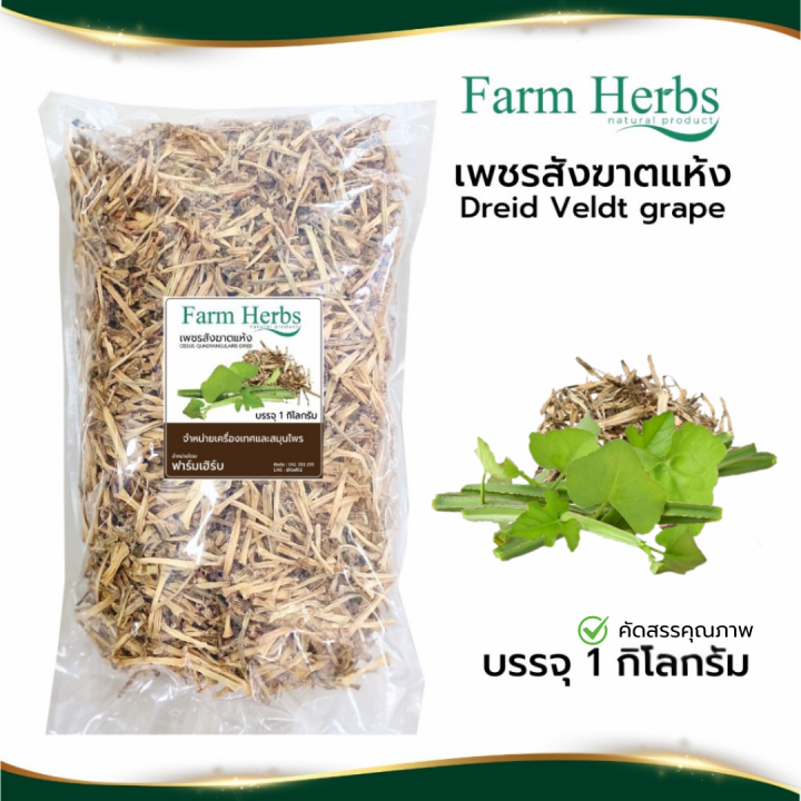 เพชรสังฆาตแห้ง เพชรสังฆาต แท้ Dreid Veldt grape ตราฟาร์มเฮิร์บ Farm ...
