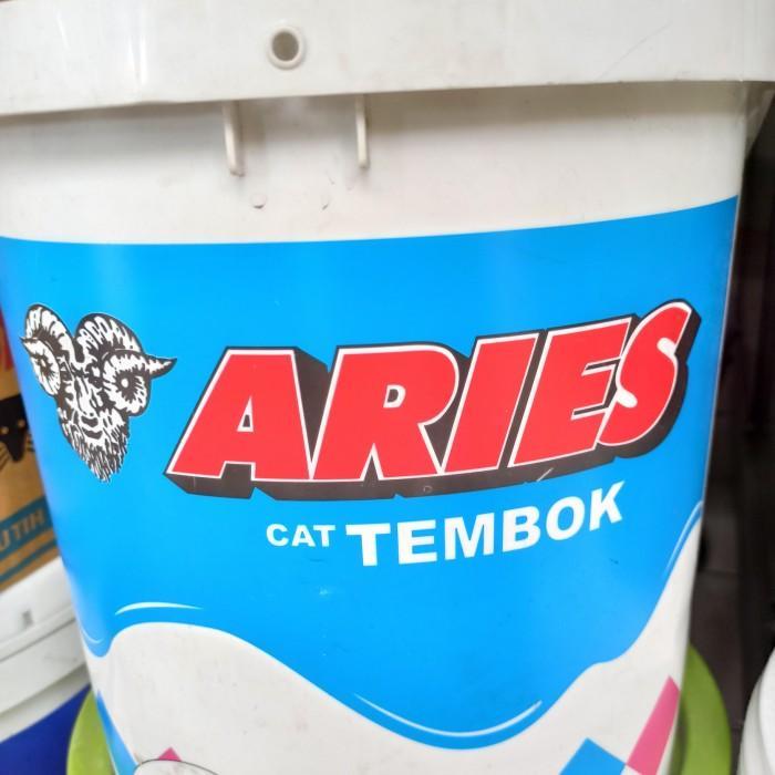 CAT ARIES 20 KG AVIAN TEMBOK INTERIOR PLAFON BETON - SEMUA WARNA ...