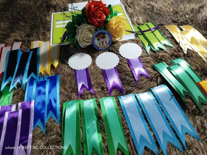 20 PCS. RIBBONS WITH BLANK LOGO FOR GRADUATION, MOVER , ACADEMIC AWARDS ...