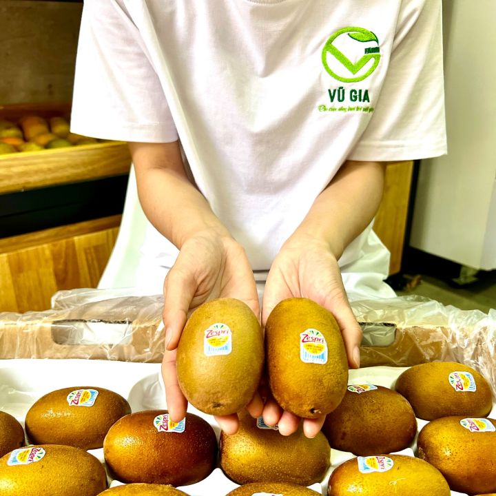 VG FARM Kiwi Vàng Zespri New Zealand | Lazada.vn