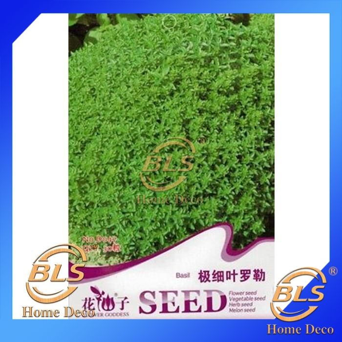【EXPIRED】BIJI BENIH D047 BASIL FLOWER GODDESS VEGETABLE FLOWER FRUIT ...