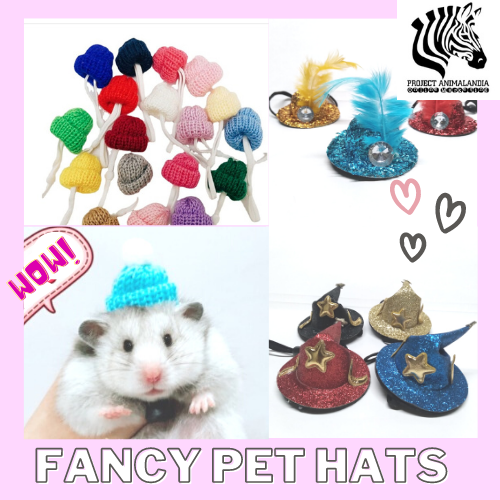 Fancy Hat for Hamsters, Guinea pig, Gerbil, rat, lizard hats crochet ...