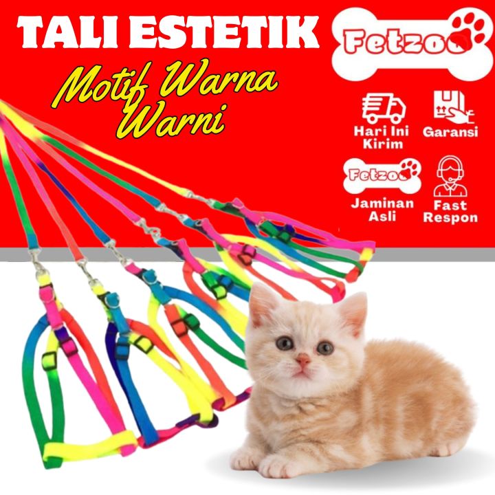Harness Anjing Tali Kekang Tebal Harness Kucing Harnes Tali Tuntun ...