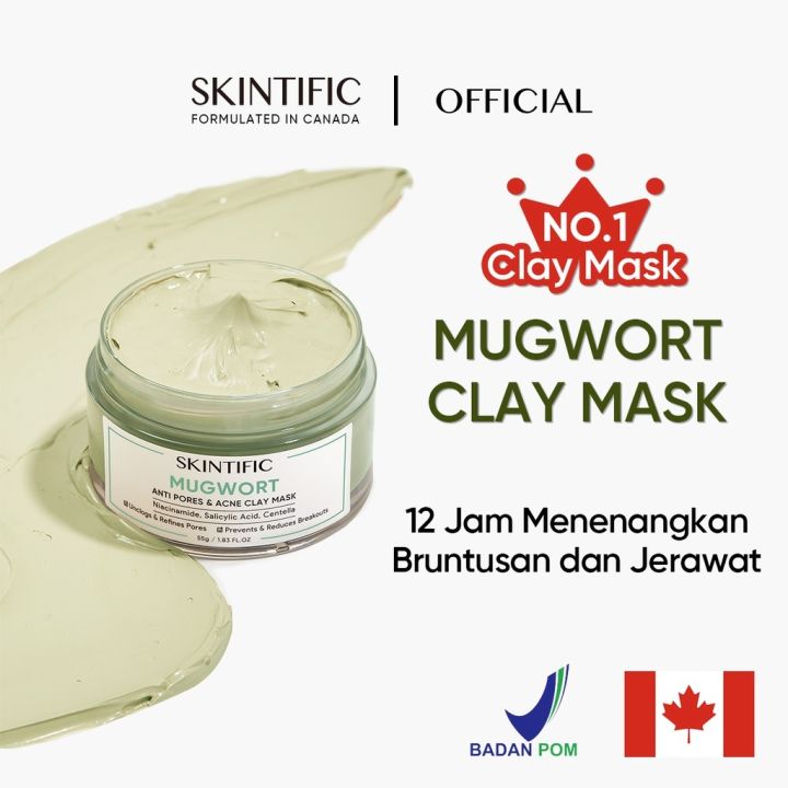 SKINTIFIC - Mugwort Mask Anti Pores & Acne Clay Mask Pore Clarifying ...