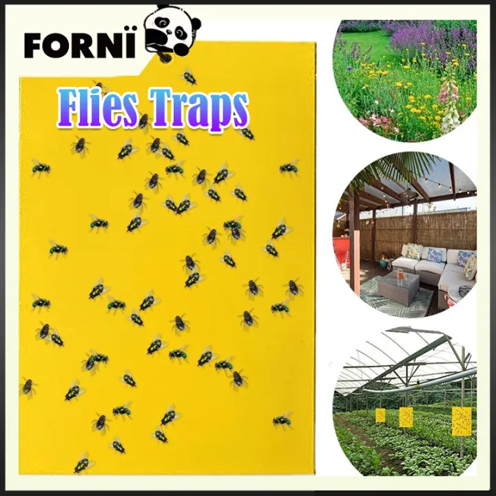 Sticky Insect Board- Fly Sticker - Bright Color Insect Catching Paper ...