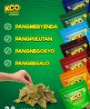 Pedro's The First and Original Kangkong Chips Original by Josh Mojica ...