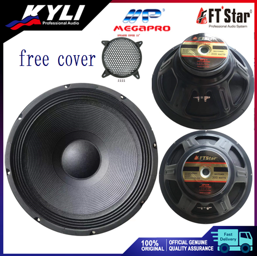 FT Star FT-3g-15 300W 15inch Speaker Professional Instrumental Speaker ...