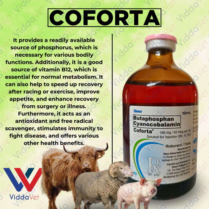 Coforta 100ml – Fortified Pet Supplement for Healthy Organ Function for ...