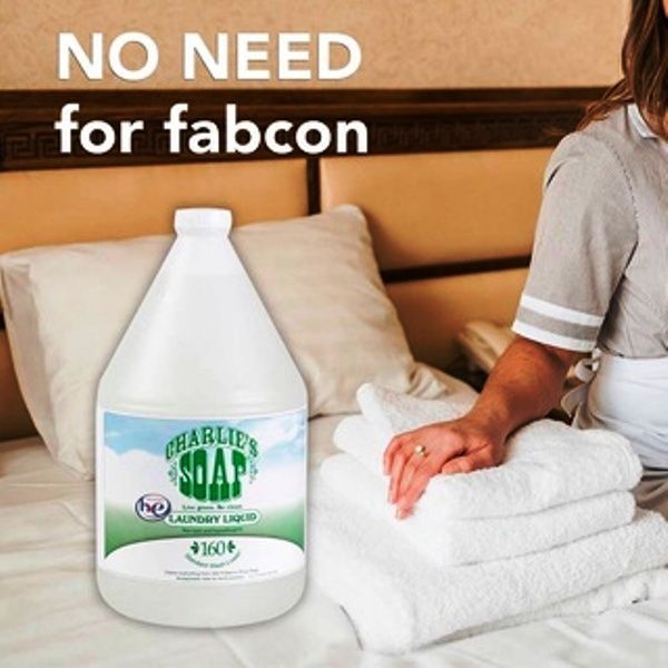 Charlie's Soap Liquid Detergent | Lazada PH
