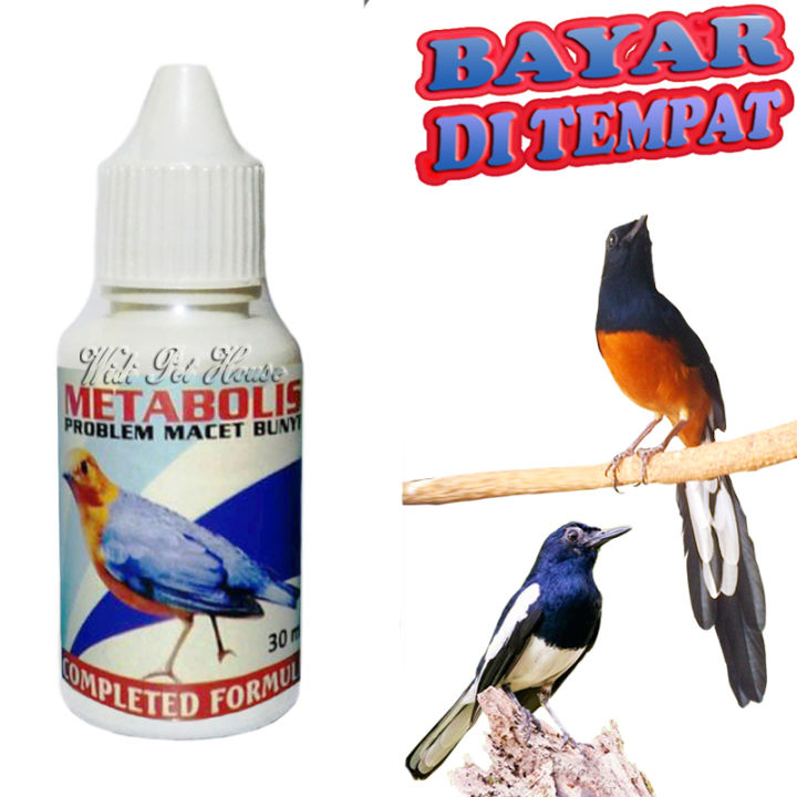 Oobat Burung Sakit METABOLIS Antibiotik Flu Diare Pencernaan Murai ...