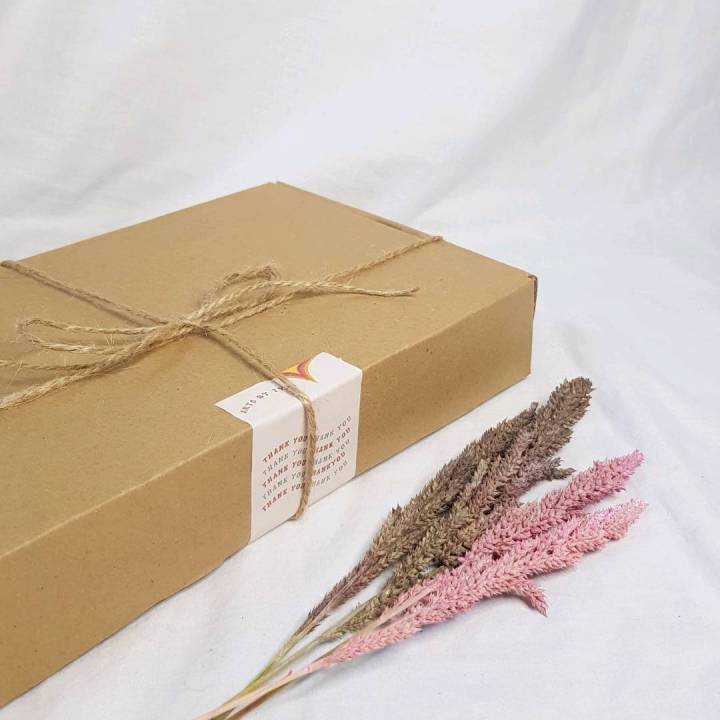 10 pcs T3 Carton box corrugated packaging Kraft Lowest price/ Brown ...