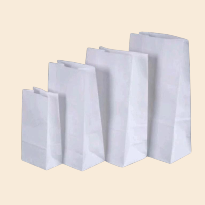 PLAIN (100pcs)KRAFT PAPER BAGS WHITE (100PCS) | Lazada PH
