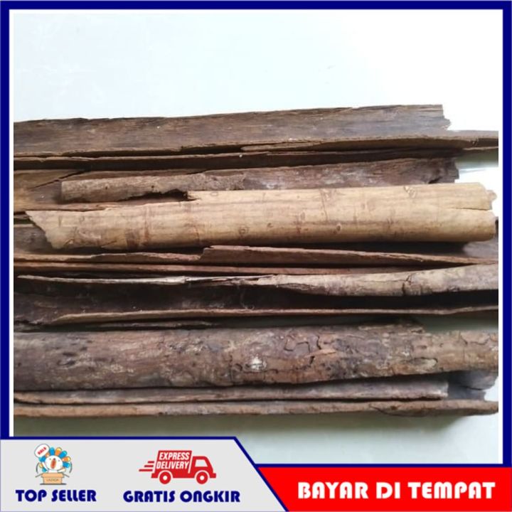 Jamu Herbal Tradisional Kulit Kayu Mesoyi 1kg Masohi Masoyi Asli Asli ...