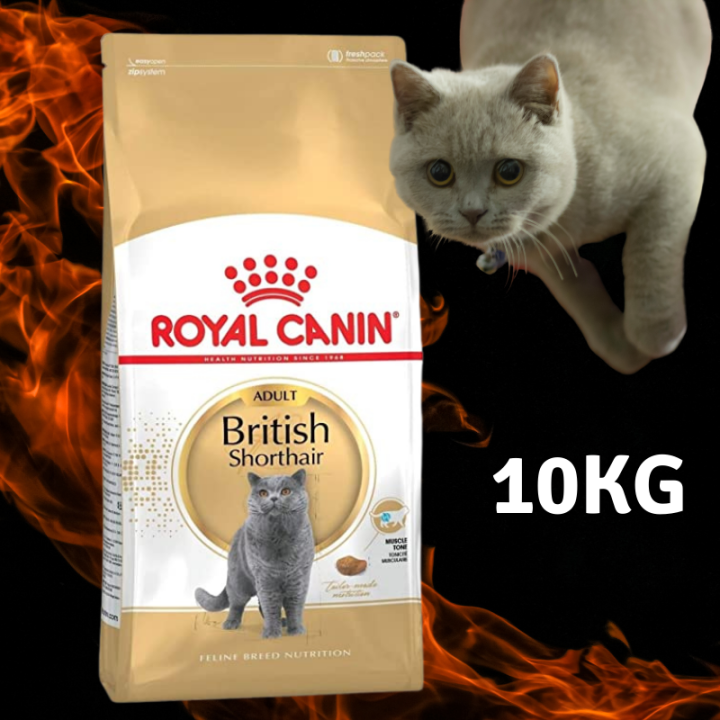 Royal Canin Adult British ShortHair 10kg | Lazada Royal Canin Adult British ShortHair 10kg | Lazada