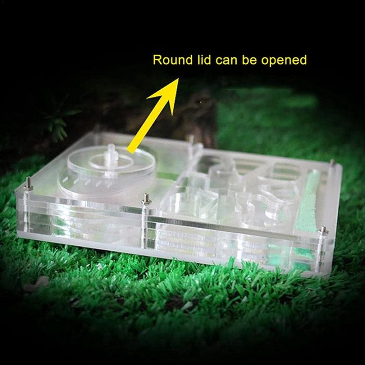Acrylic Ant Breeding Box, Ant Farm, Insect Nest, Farm Feeding Box ...