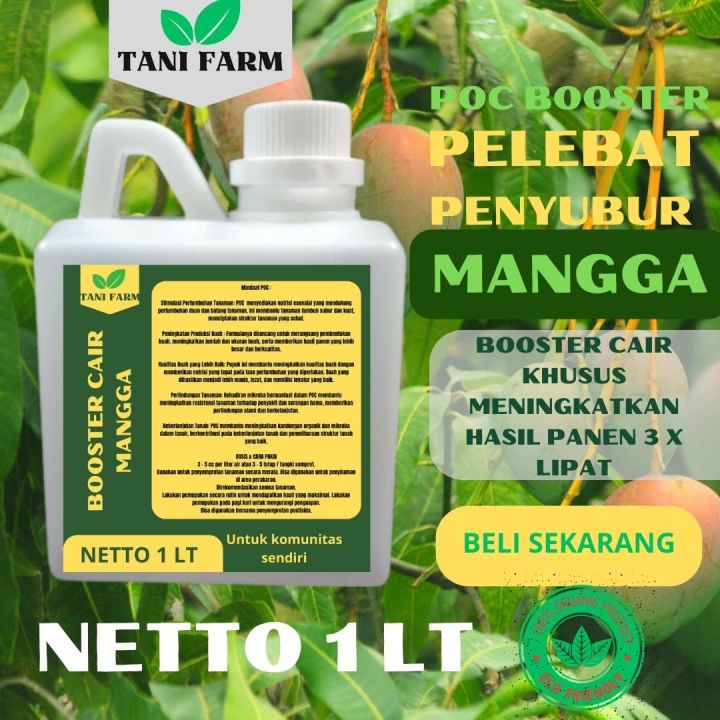 Pupuk Semprot Pelebat MANGGA Pupuk Pelebat Buah MANGGA Pupuk Penyubur ...