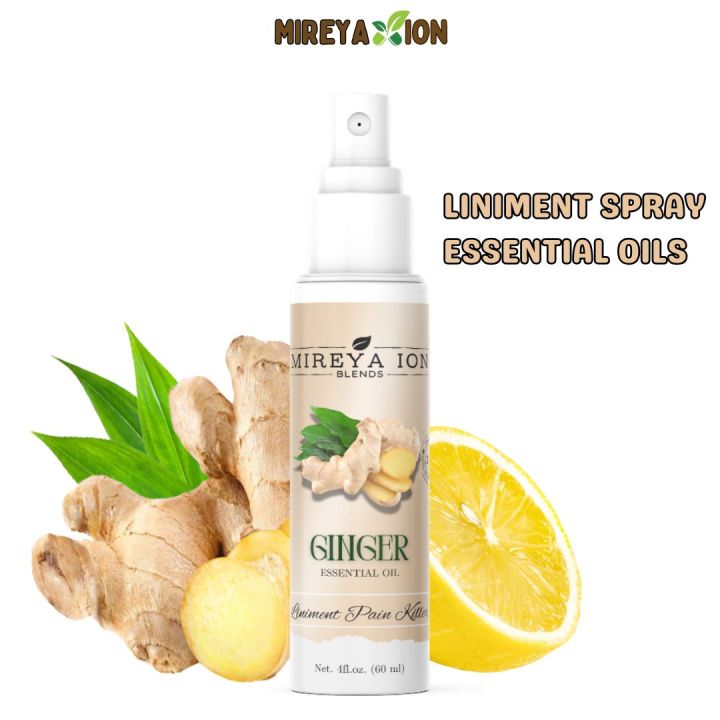 PANG HAPLAS LINIMENT OIL WITH ALINGATONG ROOTS Negative Ion Combat ...