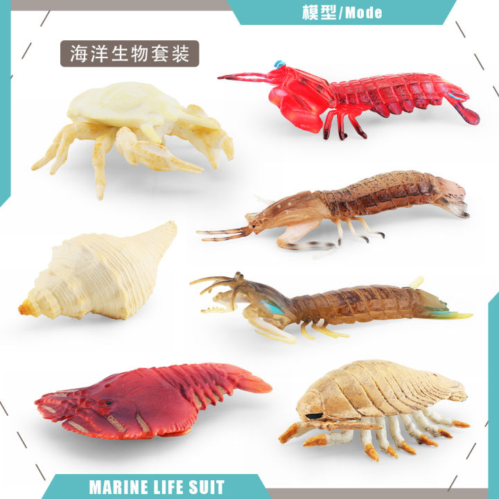 ♞Bán buôn tại nhà máy♞Mô hình sinh vật biển mô phỏng Pippi tôm pipa tôm ...