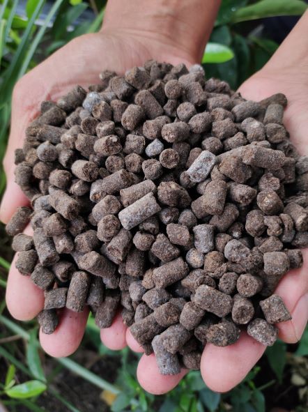 TerraBooster Natural Fertilizer - Pellet (2kg) | Lazada