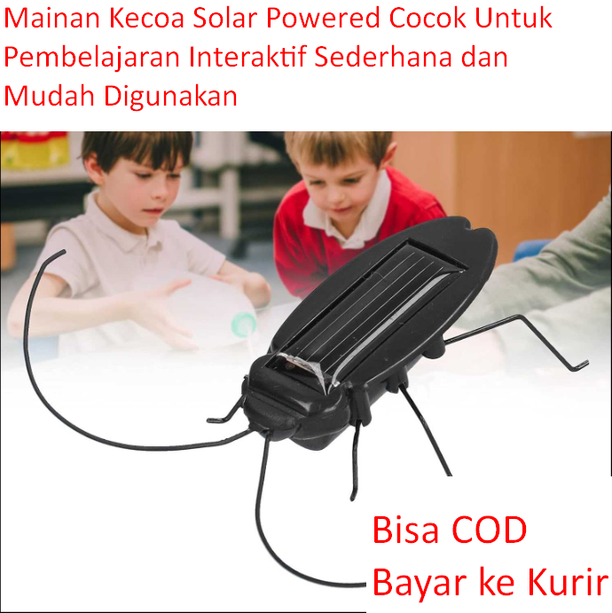 Mainan Kecoa Solar Powered Cocok Untuk Pembelajaran Interaktif ...