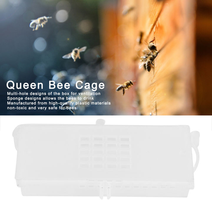 Queen Bee Box Queen Bee Cage Beekeeper Equipment for Beekeepers Manor ...