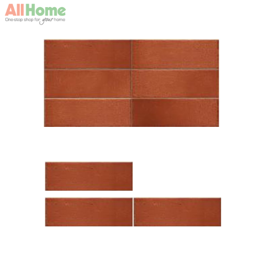 IRIS 10X30 AURA SPICE GLOSSY | Lazada PH