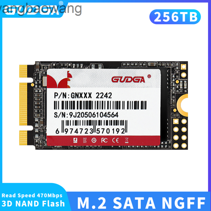 GUDGA 256GB SSD M2 SATA NGFF M.2 SSD 2242 Drive Internal Hard Disk Internal Hard Drive Hard ...