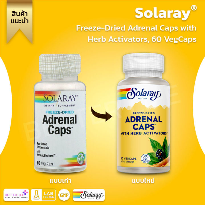 Solaray, Adrenal Caps contain 60 VegCap capsules. (No.884) | Lazada.co.th