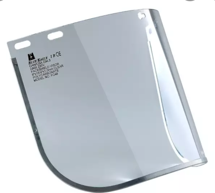 BLUE EAGLE FC25 FACESHIELD VISOR CLEAR 8x12" | Lazada PH