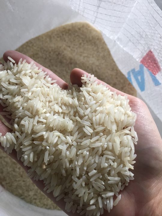 Beras Super Import 3A (1kg)(5kg)(10kg) | Lazada