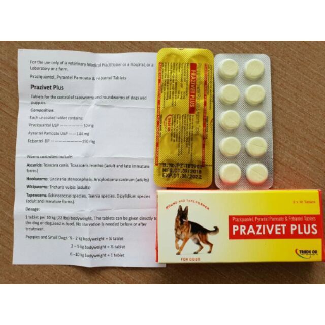 Prazivet Plus for Dog 1 tablet Deworm | Lazada