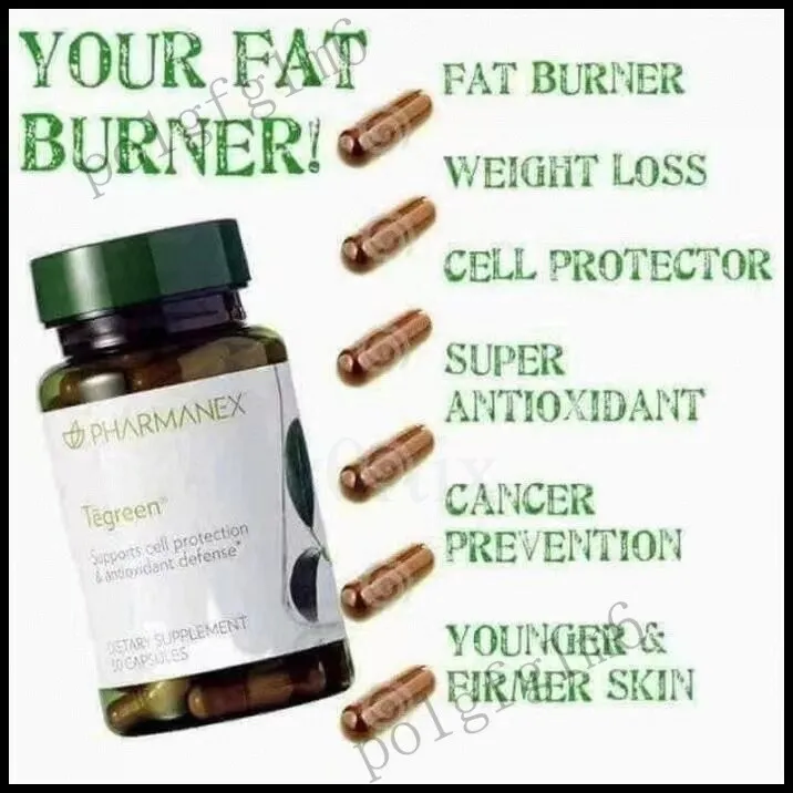 Nuskin Tegreen 97 Nu Skin Tea Green Tea Xinhua Fine Huasuteppei ...