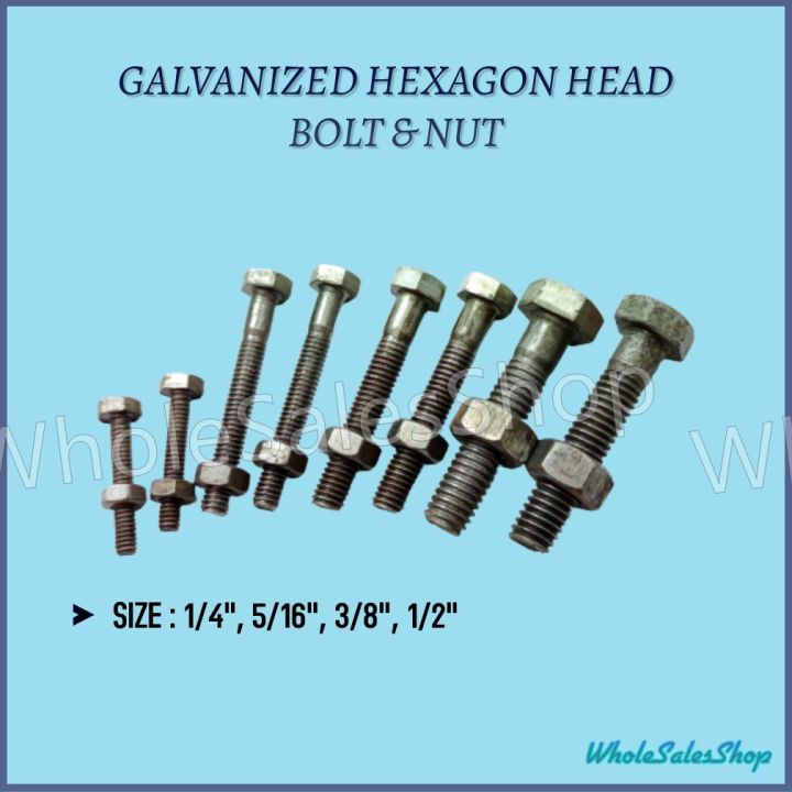 [1/4" - 1/2"] GALVANIZED HEXAGON HEAD BOLT & NUT SKRU BESI | Lazada